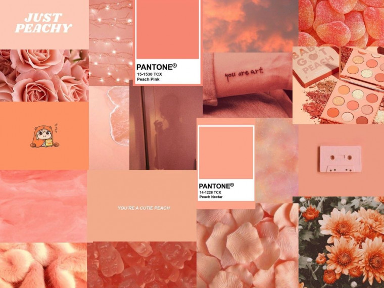 🔥 [70+] Peach Color Aesthetic Wallpapers | WallpaperSafari