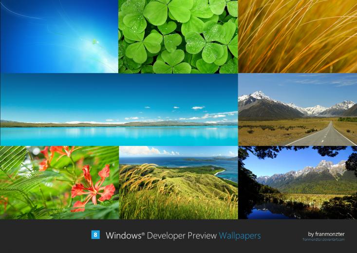 🔥 [40+] Windows Developer Wallpapers | WallpaperSafari