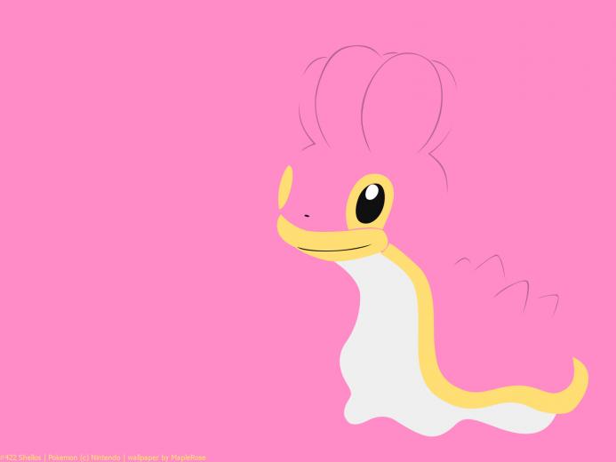 🔥 Free Download Shellos Pok Walls by @jsmith73 | WallpaperSafari