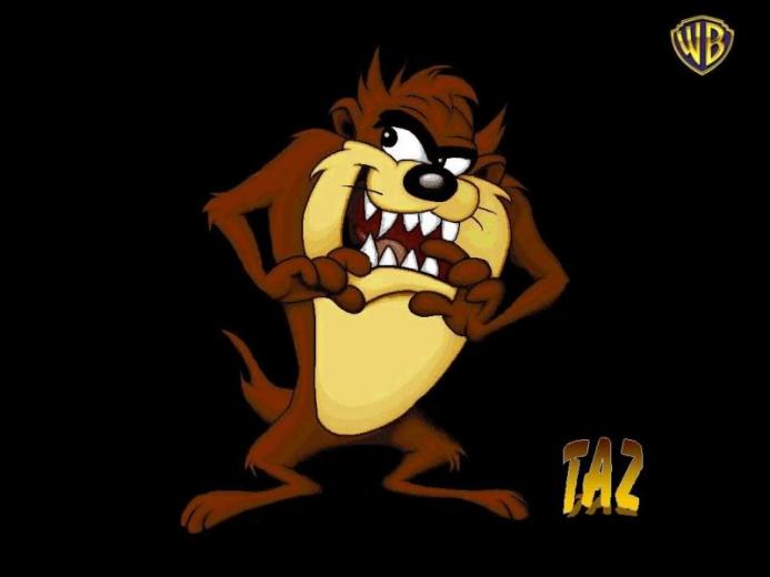 🔥 [50+] Taz Wallpapers for Computer | WallpaperSafari