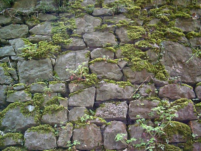 🔥 [10+] Cobblestone Backgrounds | WallpaperSafari