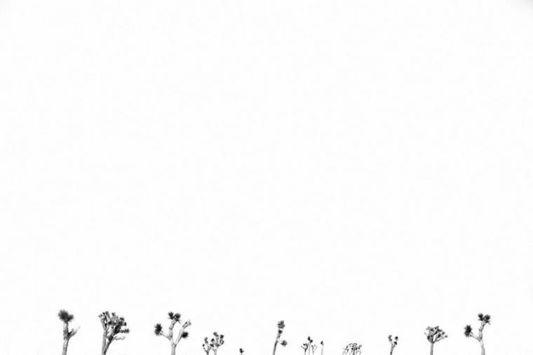 🔥 [30+] Simple White Desktop Wallpapers | WallpaperSafari