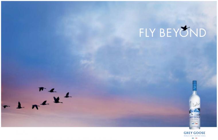 🔥 [50+] Grey Goose Wallpapers | WallpaperSafari
