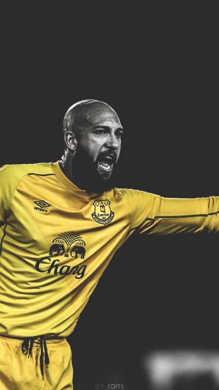 🔥 [30+] Tim Howard Wallpapers | WallpaperSafari