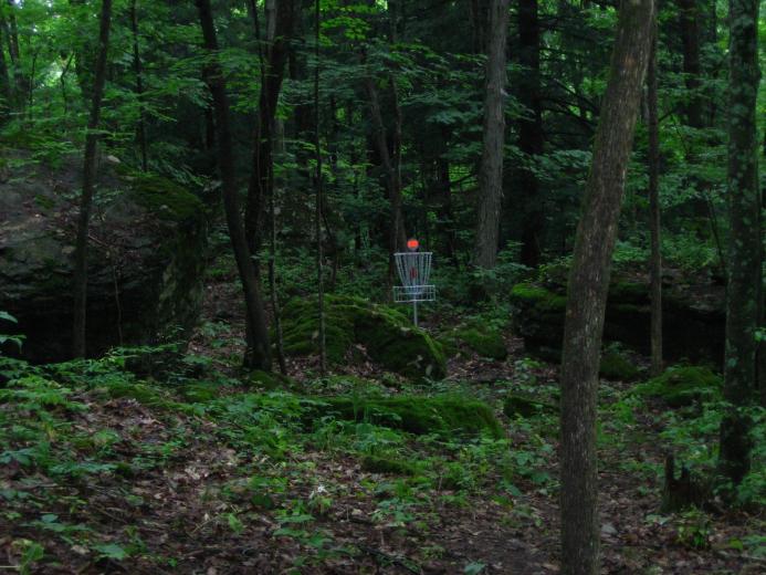 Free download Displaying 11 Images For Disc Golf Wallpaper Background ...