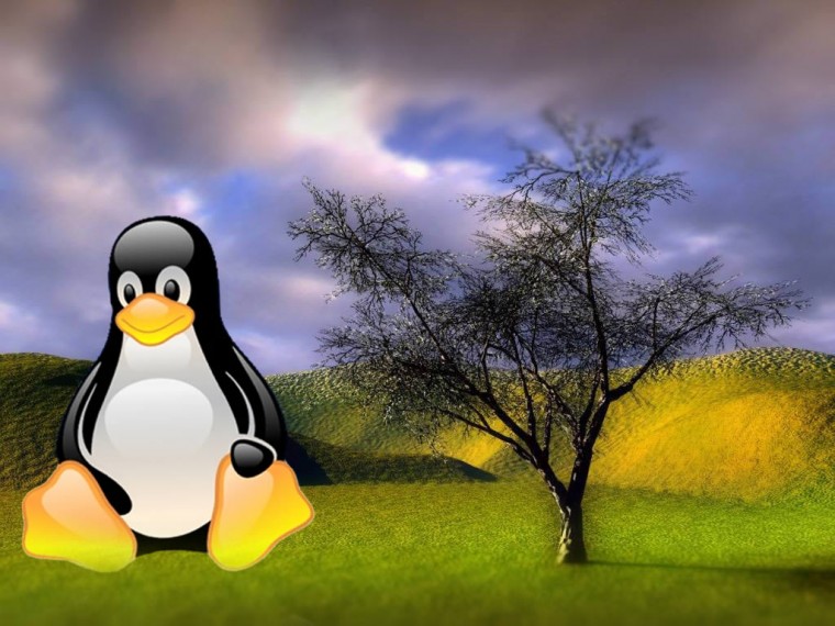 🔥 Free Download Linux Desktop Wallpaper Background by @dortega18 ...
