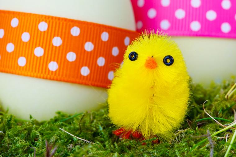 🔥 [50+] Easter Chick Wallpapers | WallpaperSafari