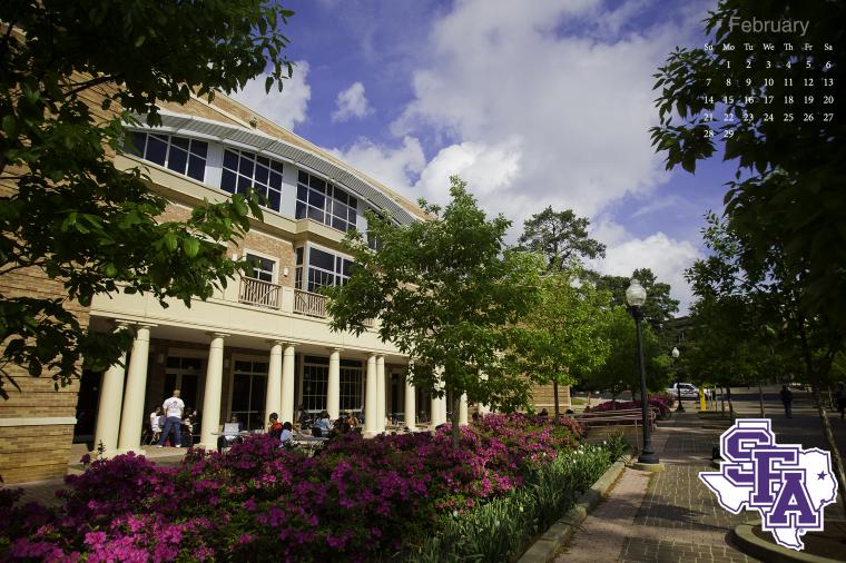 🔥 Free Download Sfasu Delta Zeta On Some Fresh New Wallpaper For by ...