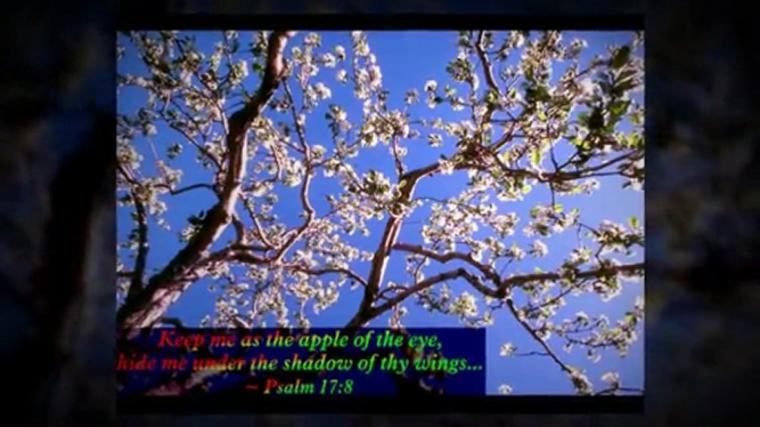 🔥 [50+] Dayspring Wallpapers | WallpaperSafari