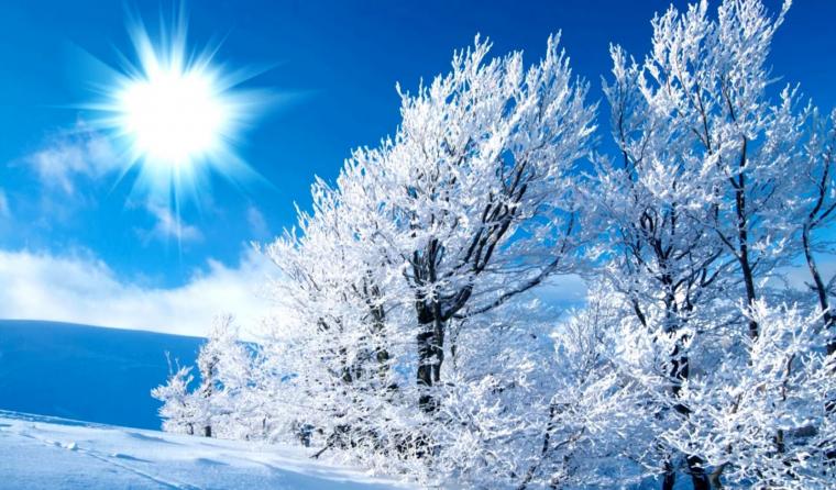 Free Download Winter Night Wallpapers Wallpaper 1920x1080 1920x1080 