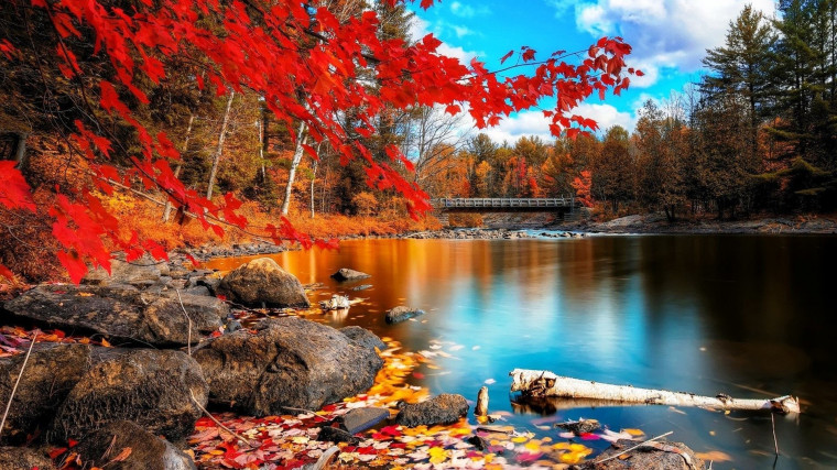🔥 [60+] Beautiful Autumn Desktop Wallpapers | WallpaperSafari