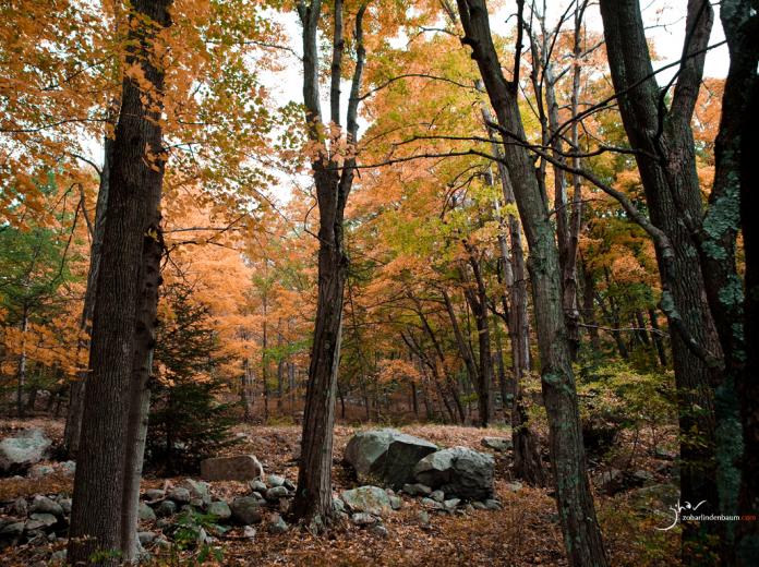 🔥 [50+] 1028 x 768 Wallpapers | WallpaperSafari