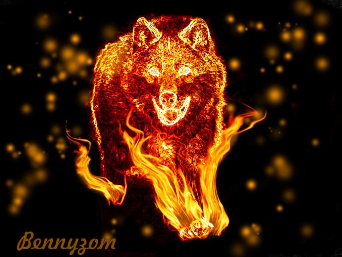 🔥 [60+] Fire Wolf Wallpapers | WallpaperSafari