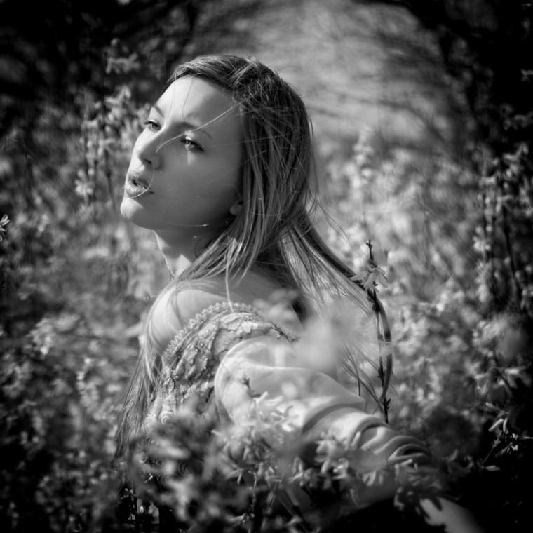 🔥 [50+] Eagle Desktop Wallpapers Amazing Collection | WallpaperSafari