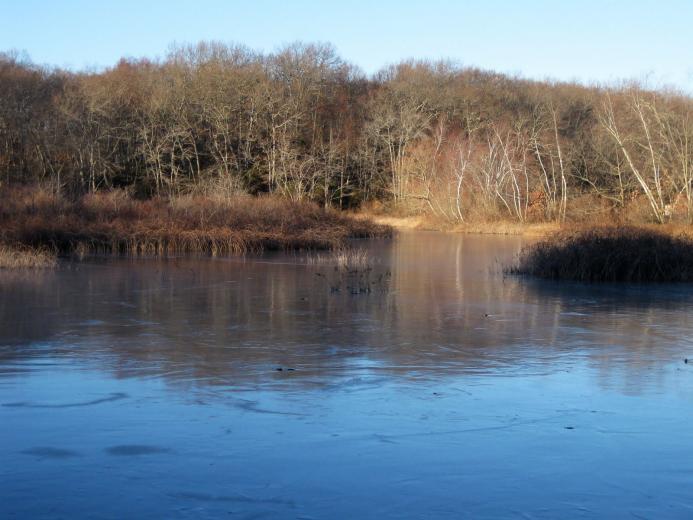 🔥 [30+] Frozen Pond Wallpapers | WallpaperSafari