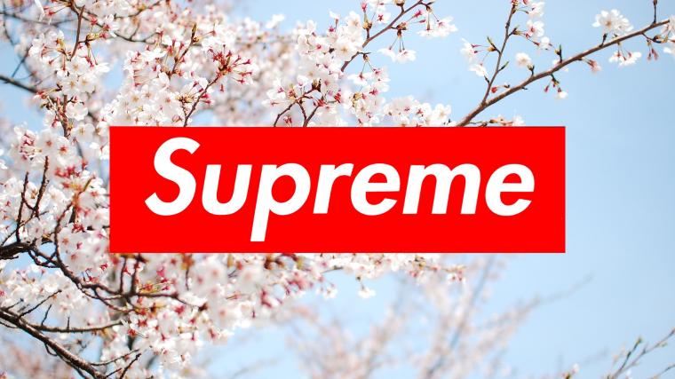 🔥 [60+] Supreme PC Wallpapers | WallpaperSafari