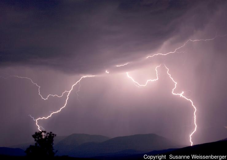 🔥 [50+] Mike Lythgoe Wallpapers | WallpaperSafari