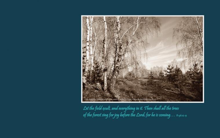 🔥 [150+] Free Hallmark Desktop Wallpapers Downloads | WallpaperSafari