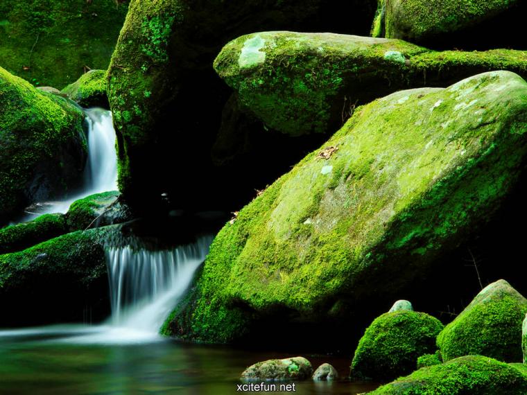 Free download Desktop Wallpaper Green Desktop Wallpaper [1680x1050] for ...