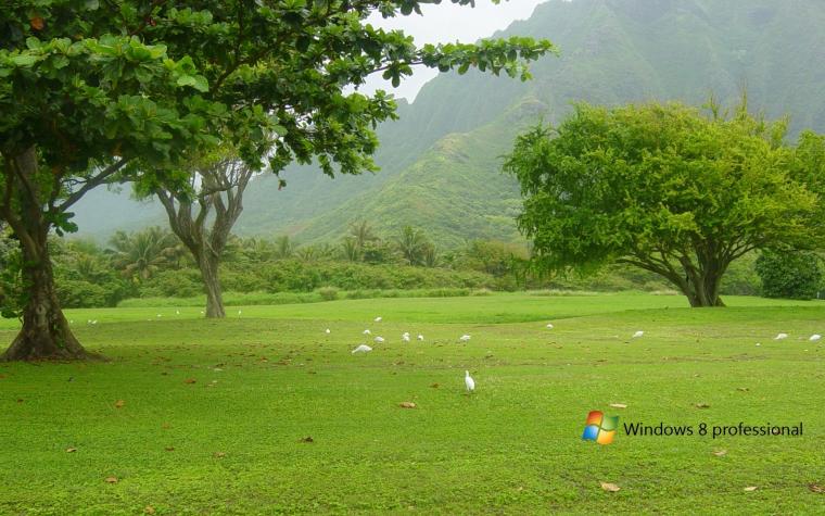 🔥 [50+] Live Desktop Wallpapers Win 8 | WallpaperSafari