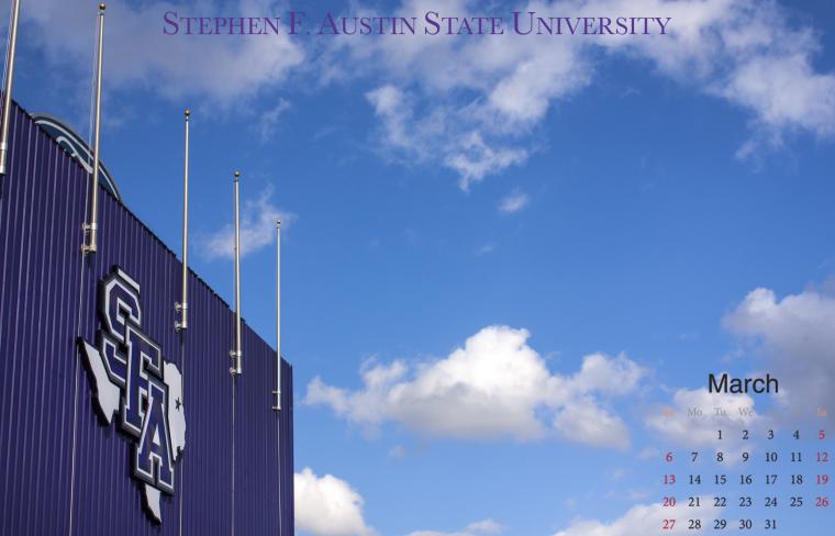 🔥 Free Download Stephen F Austin State University Diversity Racial ...
