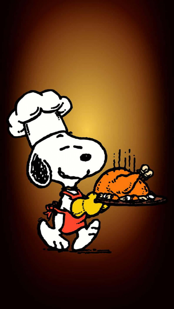 🔥 [100+] Snoopy Thanksgiving Wallpapers | WallpaperSafari