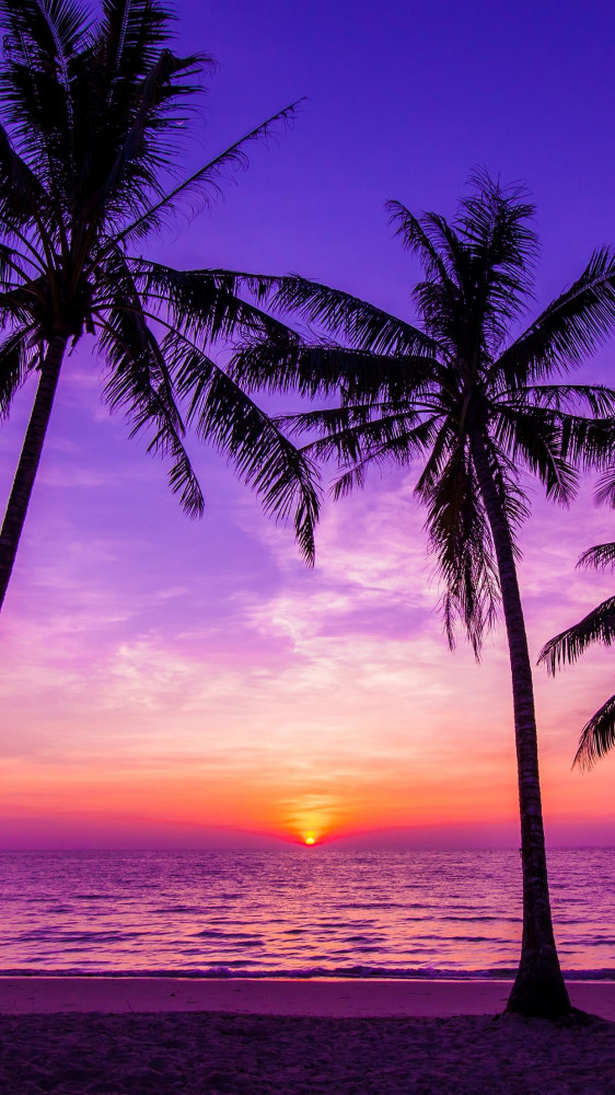 🔥 [30+] Cute Sunset Wallpapers | WallpaperSafari