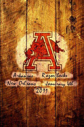 🔥 [50+] Razorback Wallpapers for Android | WallpaperSafari