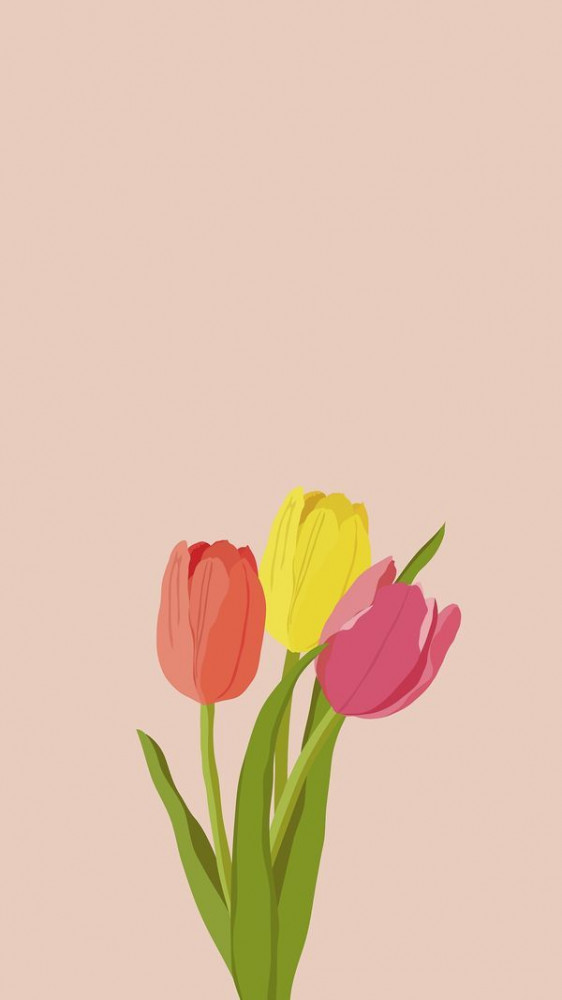 🔥 [30+] Spring Flower Drawing Wallpapers | WallpaperSafari