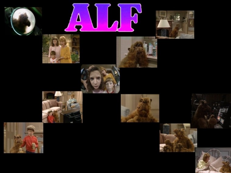 🔥 [80+] Alf Wallpapers | WallpaperSafari