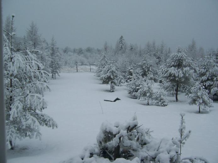 🔥 [40+] Cozy Winter Snowstorm Outside Wallpapers | WallpaperSafari