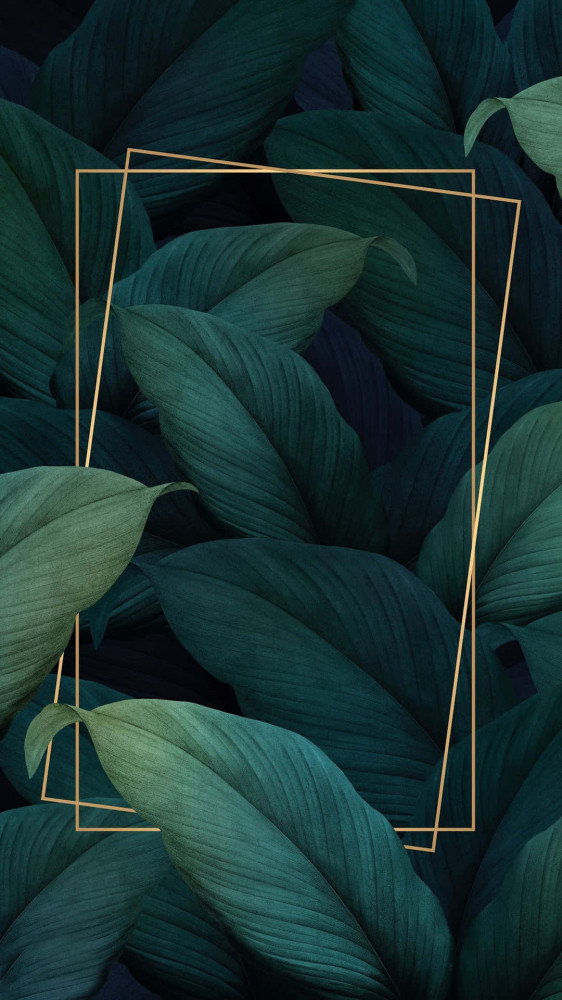 🔥 [60+] Green Plant Aesthetic Wallpapers | WallpaperSafari