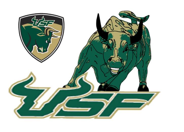 🔥 [50+] USF Football Wallpapers | WallpaperSafari