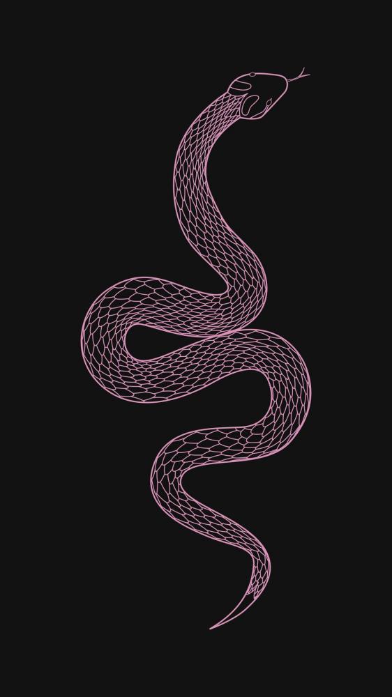 🔥 [20+] Pink Snake Wallpapers | WallpaperSafari