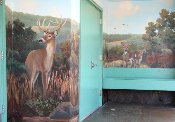 Free download Whitetail Deer Mural Wallpaper Murals Download Pictures ...