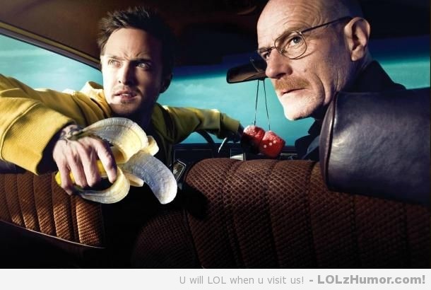 🔥 [50+] Funny Inappropriate Wallpapers | WallpaperSafari