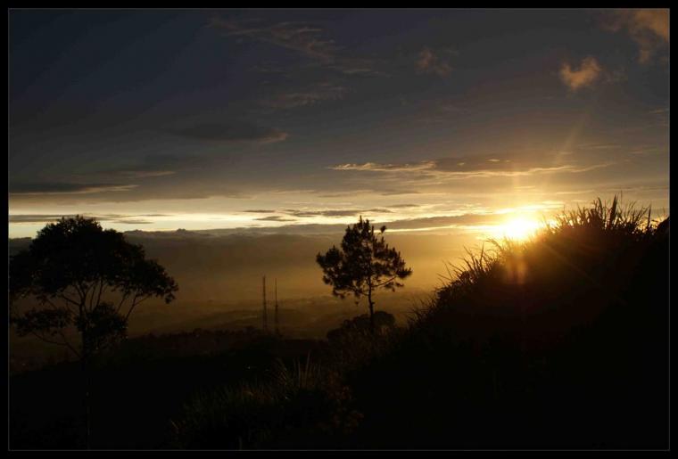 🔥 Free Download File Teeworlds Pre Grass Png by @scottjohnson ...