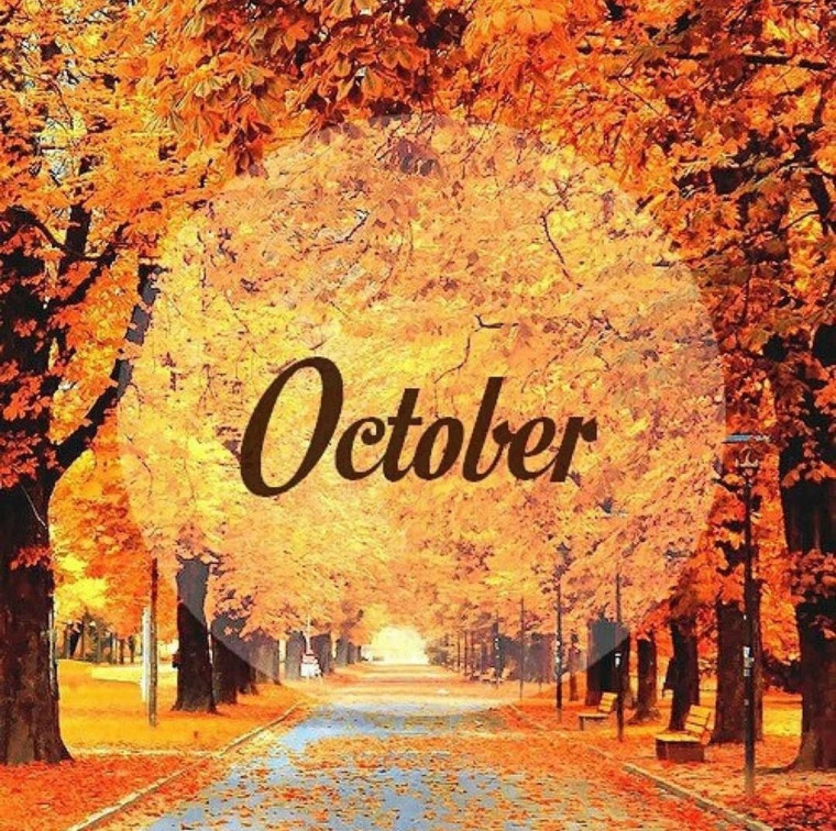 🔥 [60+] October Fall Wallpapers | WallpaperSafari