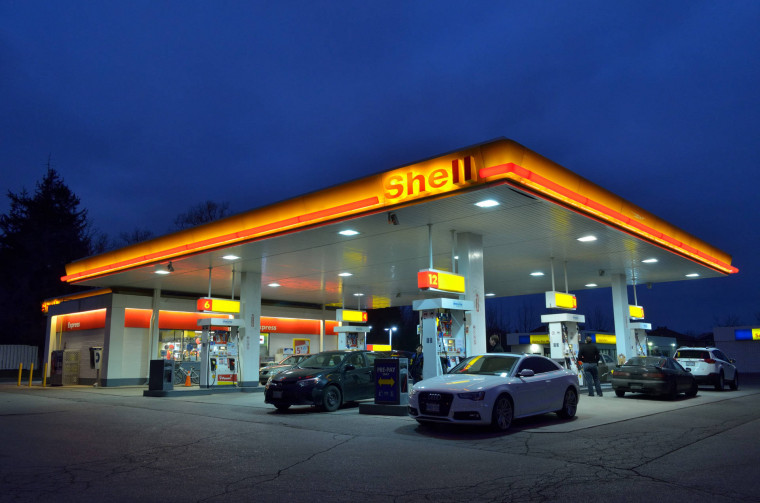 🔥 [60+] Shell Wallpapers | WallpaperSafari