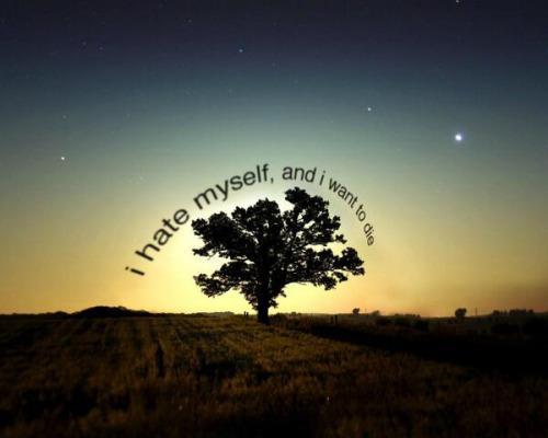 🔥 [50+] Beautifully Offensive Wallpapers | WallpaperSafari