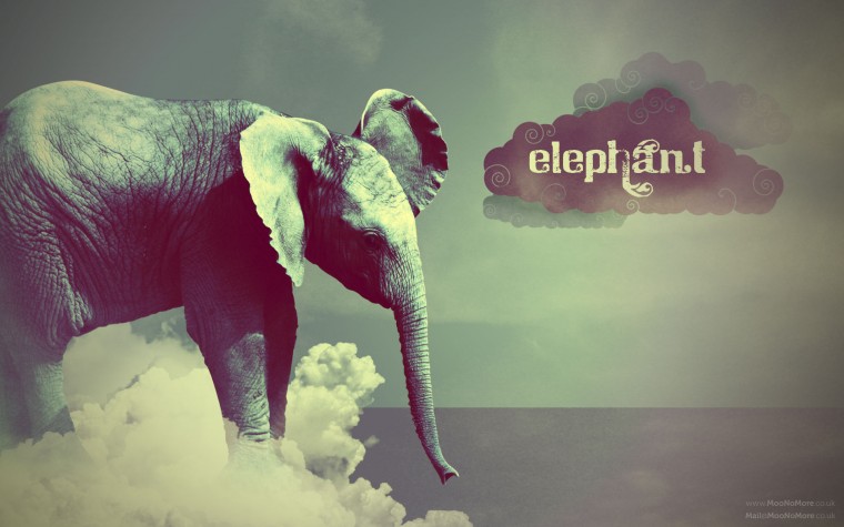 🔥 [40+] Blue Elephant Wallpapers | WallpaperSafari