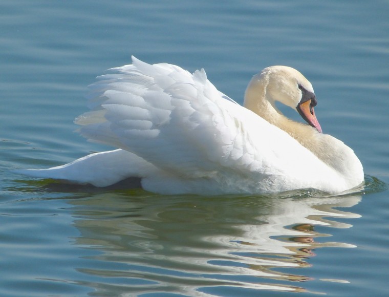 🔥 [50+] Love Wallpapers4u Desktop Wallpapers | WallpaperSafari