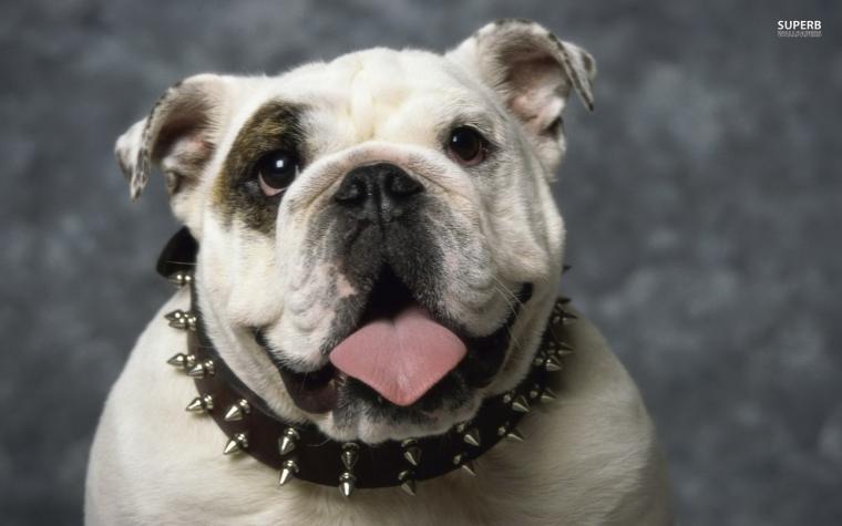 🔥 [50+] Wallpapers Galore for less | WallpaperSafari