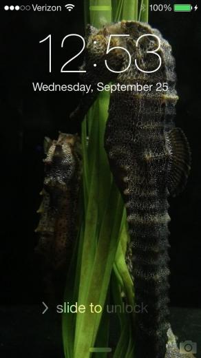 🔥 [40+] Disabled Wallpapers | WallpaperSafari