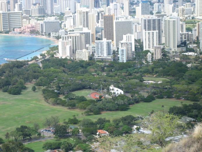 🔥 [50+] Waikiki Shell Wallpapers | WallpaperSafari