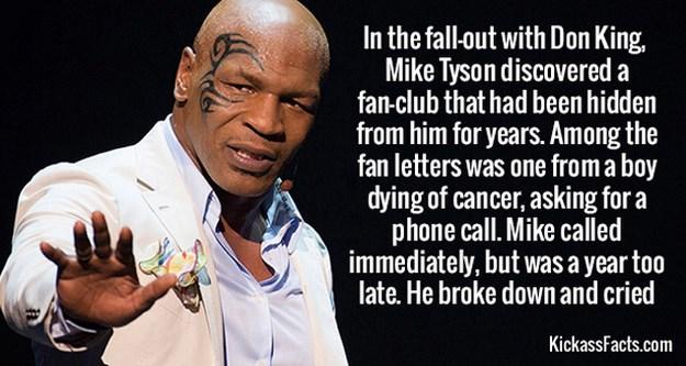 🔥 [50+] Funny Facts Wallpapers | WallpaperSafari