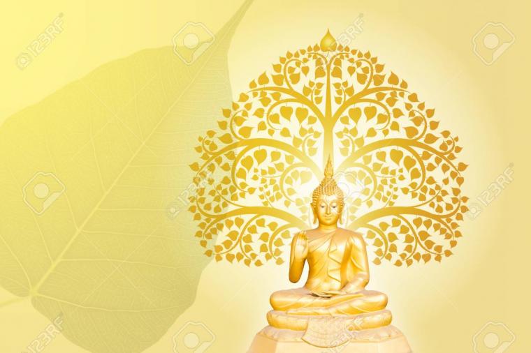 [40+] Important Background on WallpaperSafari