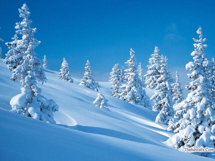 🔥 [80+] Cool Winter Backgrounds | WallpaperSafari