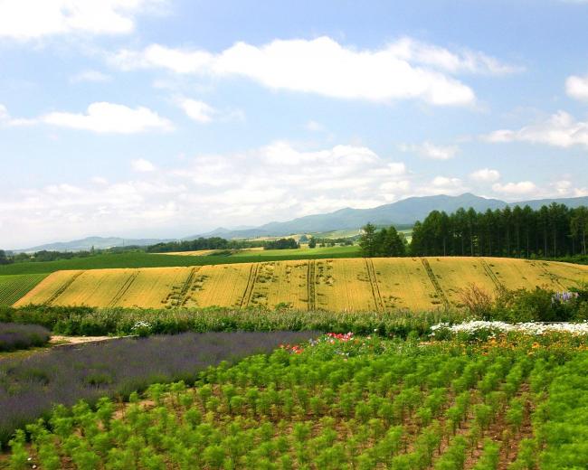 🔥 [140+] Free Farm Screensavers and Wallpapers | WallpaperSafari