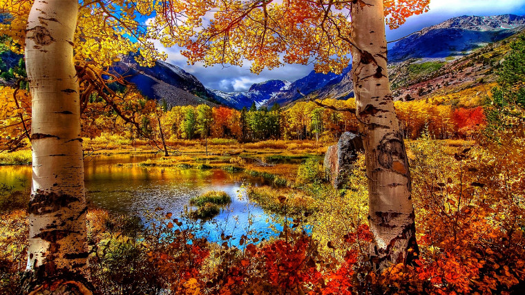🔥 [60+] Beautiful Autumn Desktop Wallpapers | WallpaperSafari